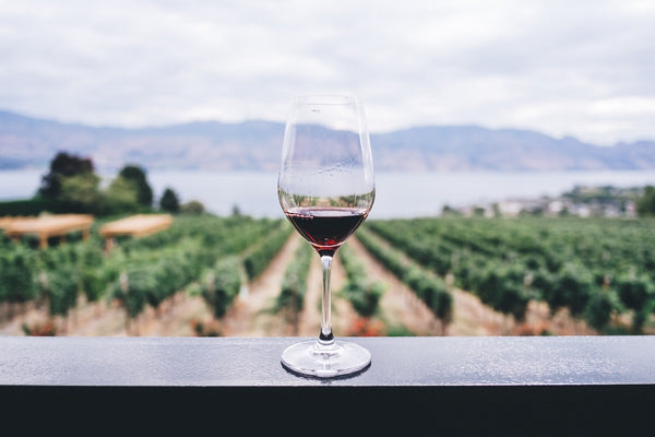 Wine Tents That Make Your Vineyard Events More Beautiful